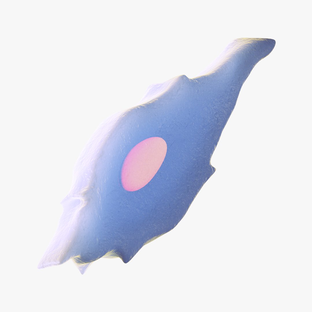 Bone Cell Osteo Cell Anatomy Pack 3D Model - TurboSquid 2082173