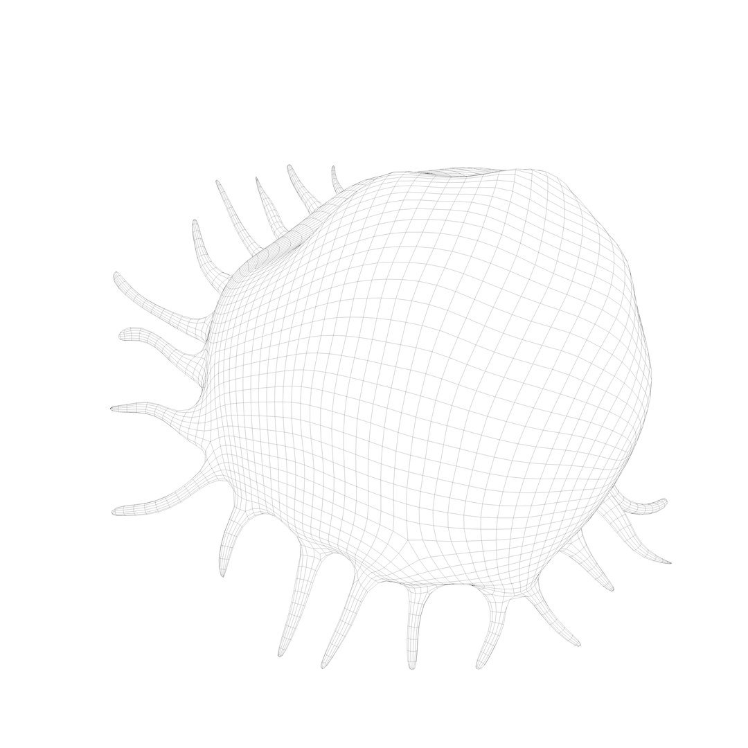 Bone Cell Osteo Cell Anatomy Pack 3D Model - TurboSquid 2082173