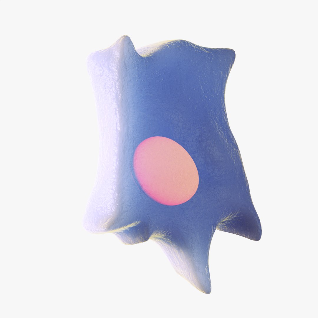 Bone Cell Osteo Cell Anatomy Pack 3D Model - TurboSquid 2082173
