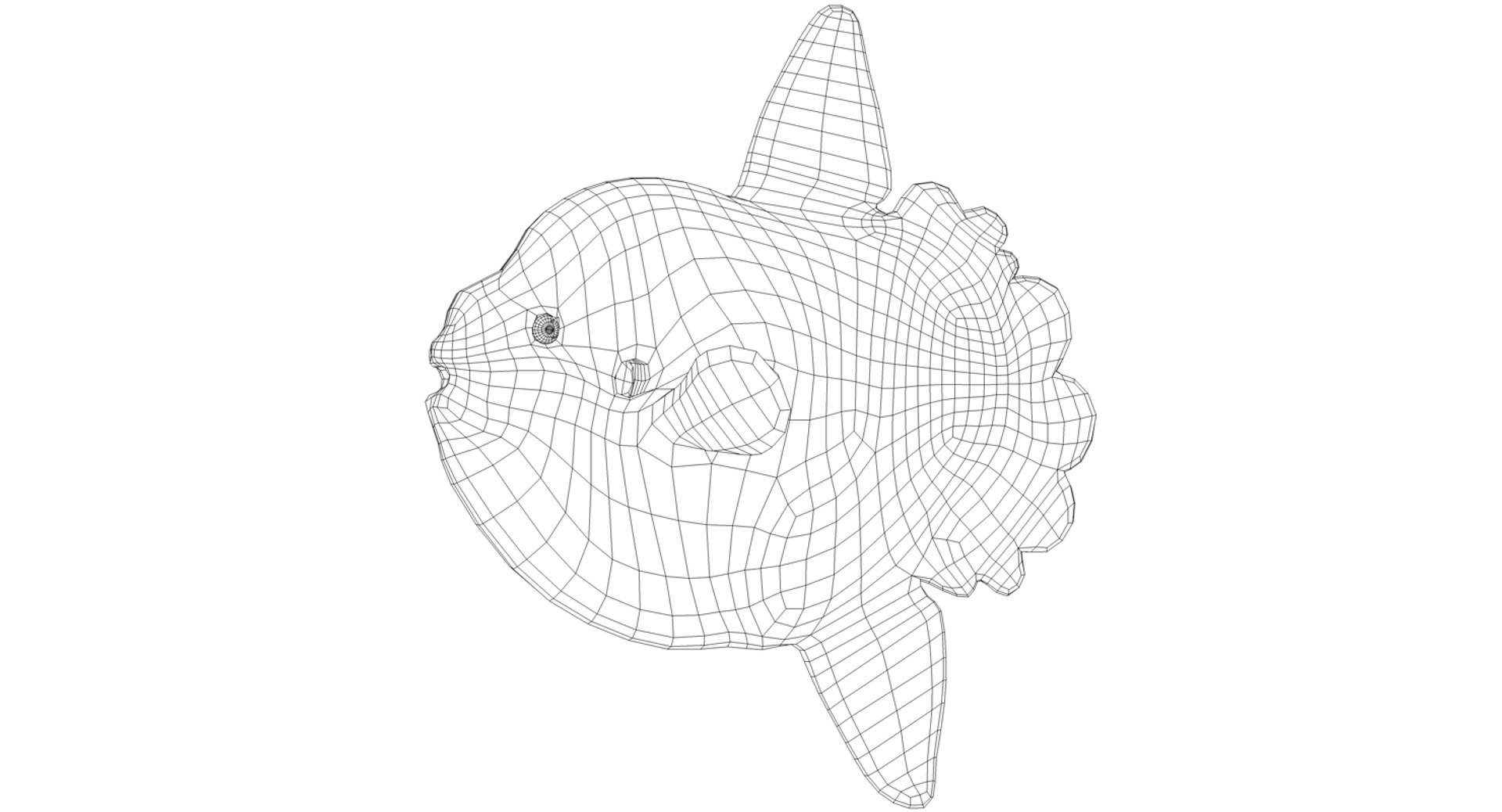 3D Enormous Ocean Sunfish Model - TurboSquid 1231945
