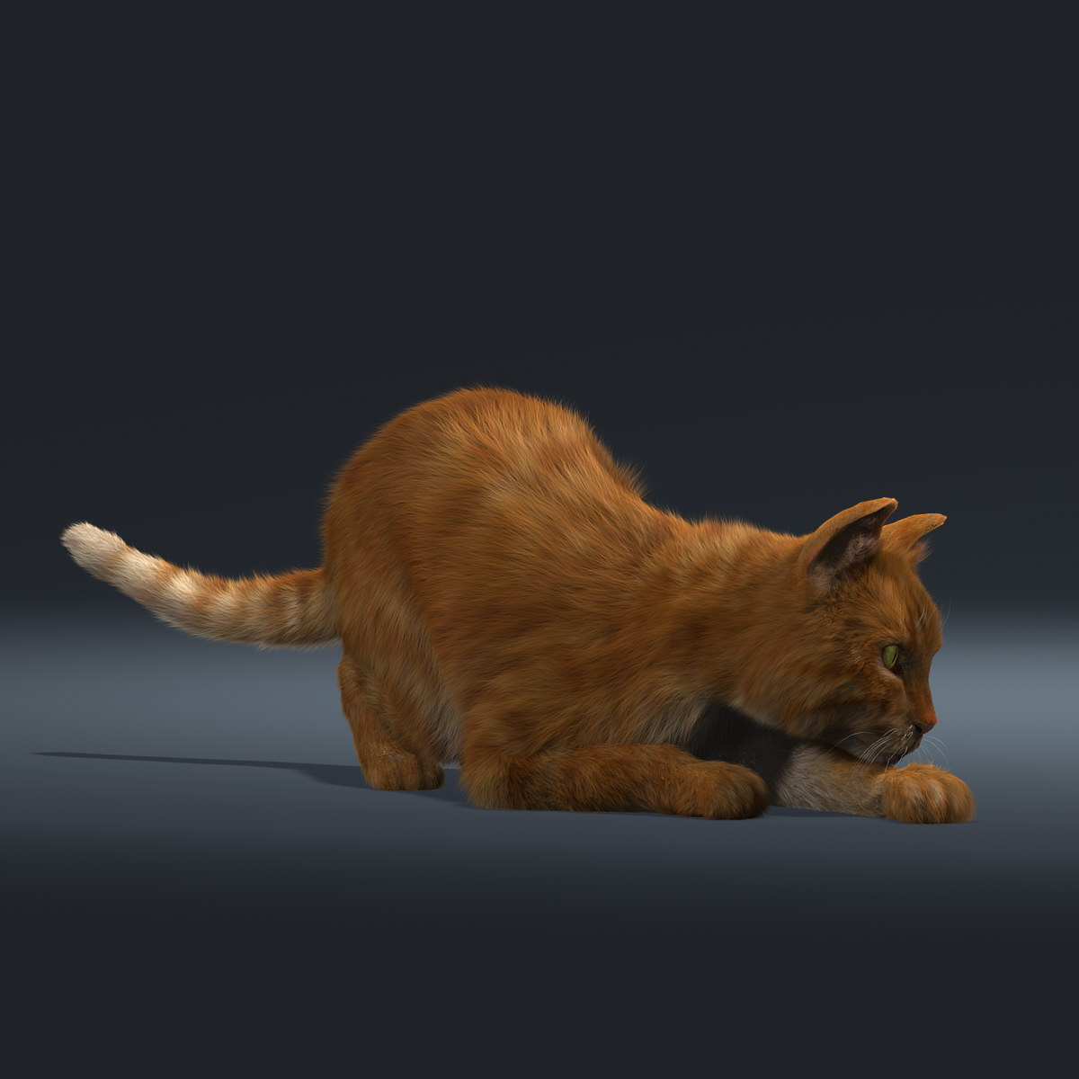 3d model cat orange tabby fur