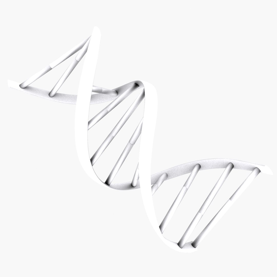 3ds Max Ribbon Dna
