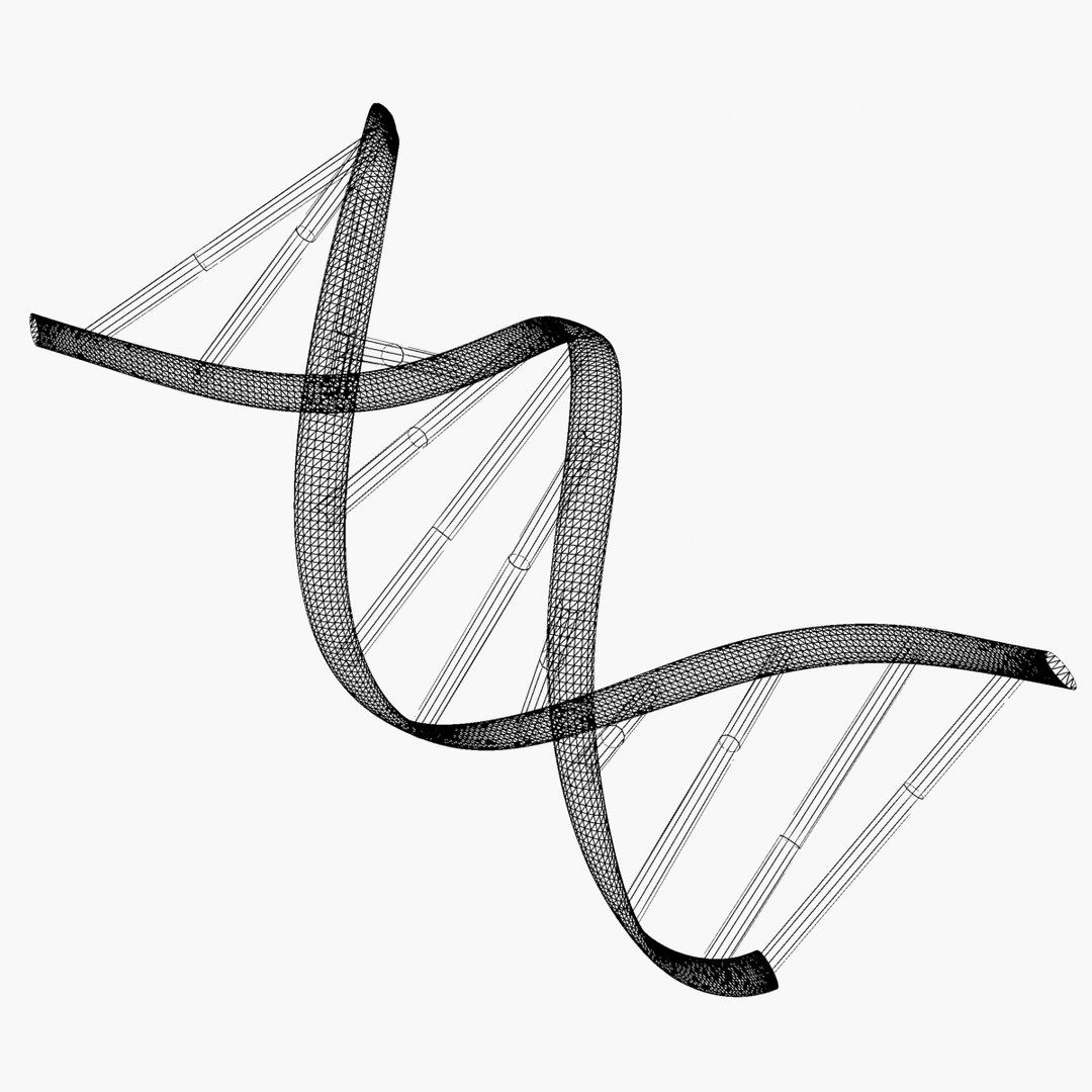 3ds Max Ribbon Dna