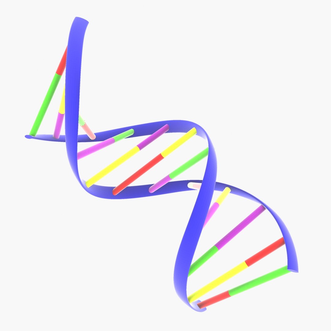 3ds Max Ribbon Dna