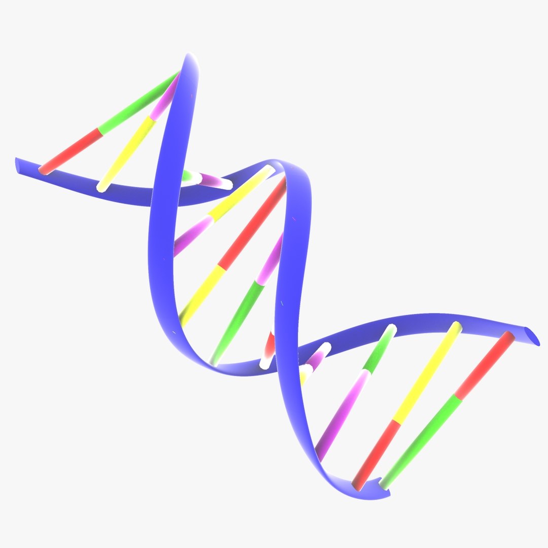 3ds Max Ribbon Dna