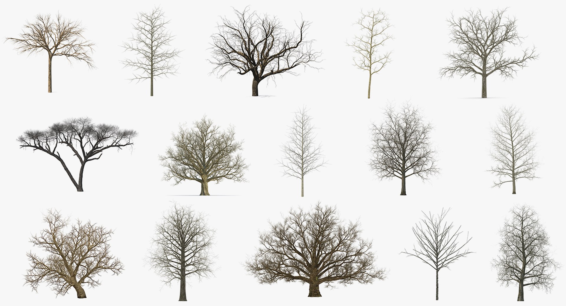 Winter trees 5 3D model - TurboSquid 1526147