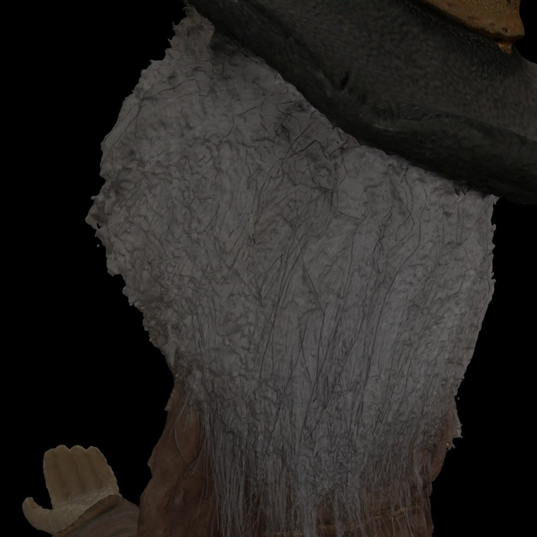 3d Model Witch Scanned Realistic