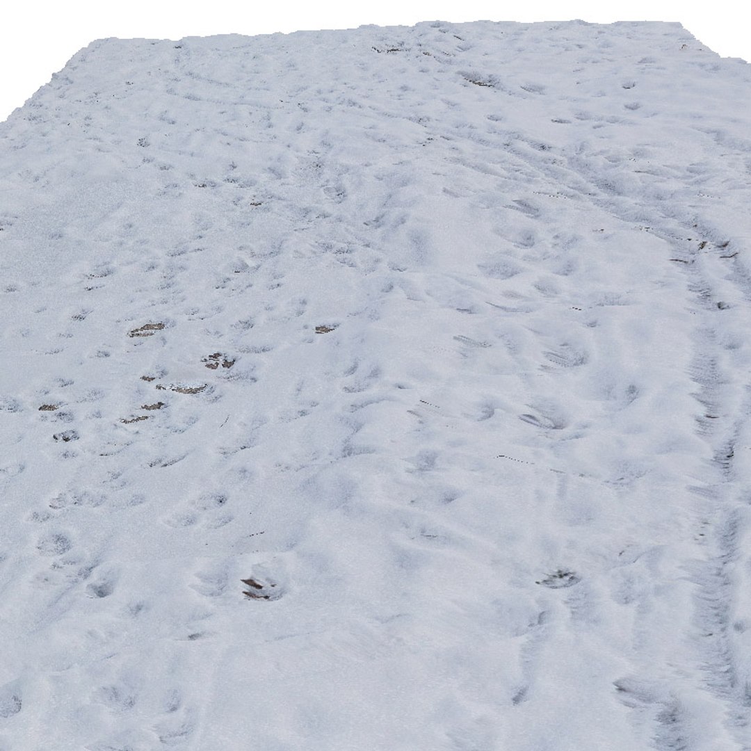 3d Ground Snow