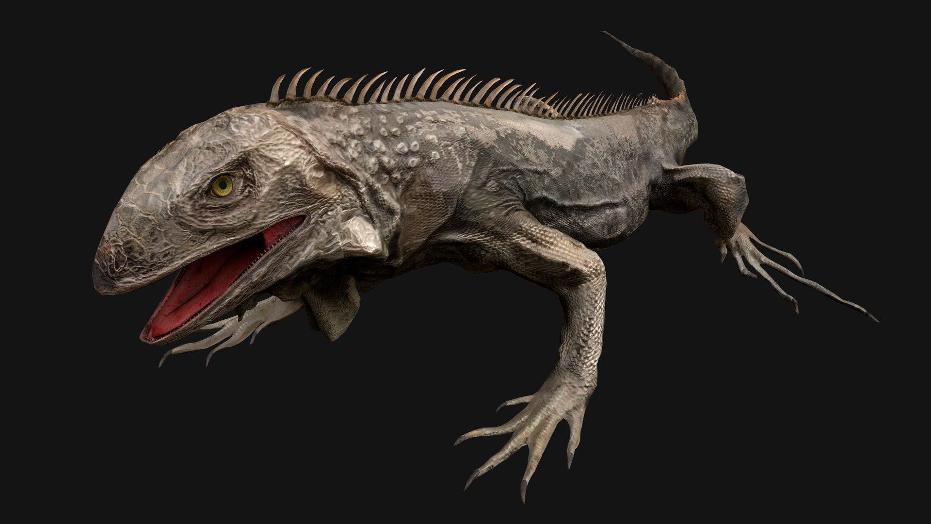 3D model Iguana Reptile Animated - TurboSquid 2077364