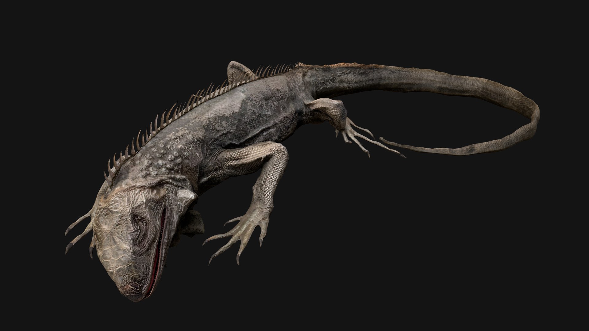 3D Model Iguana Reptile Animated - TurboSquid 2077364