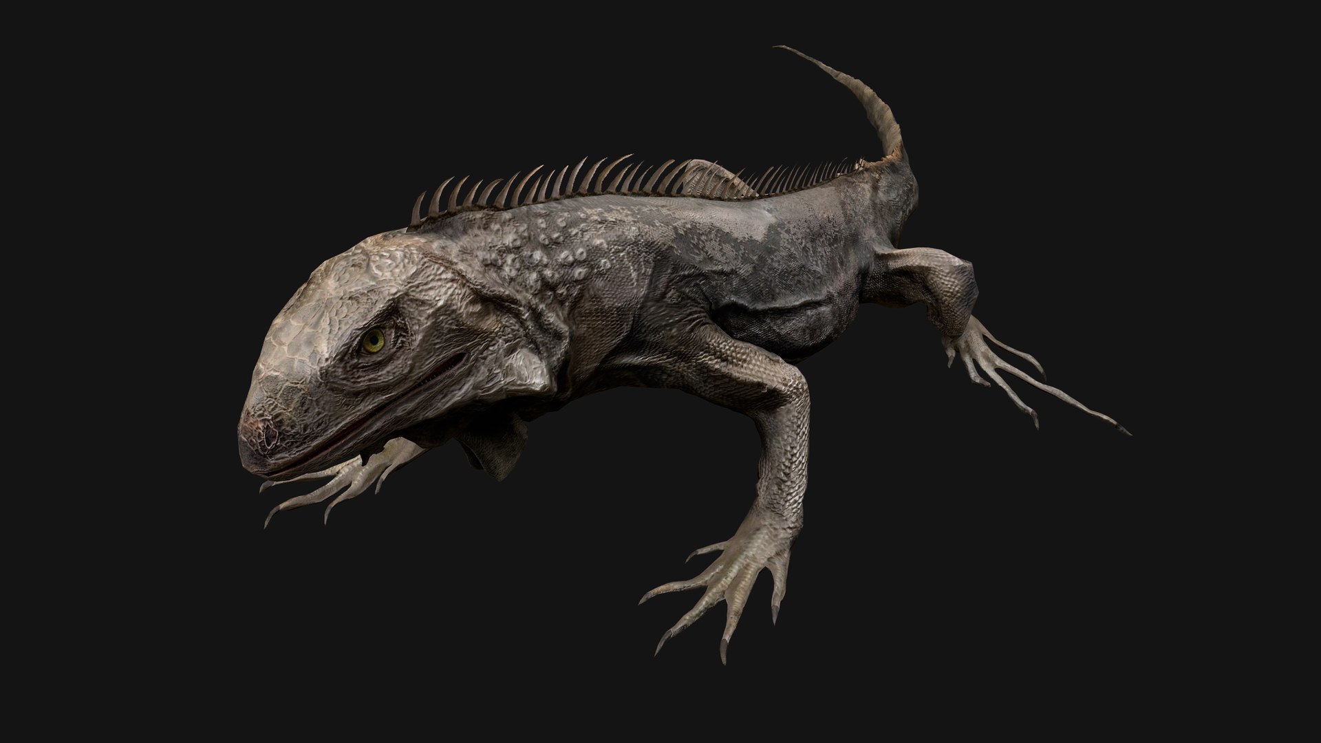 3D model Iguana Reptile Animated - TurboSquid 2077364