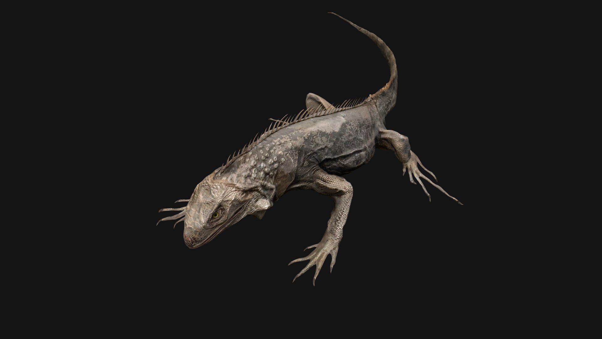 3D Model Iguana Reptile Animated - TurboSquid 2077364