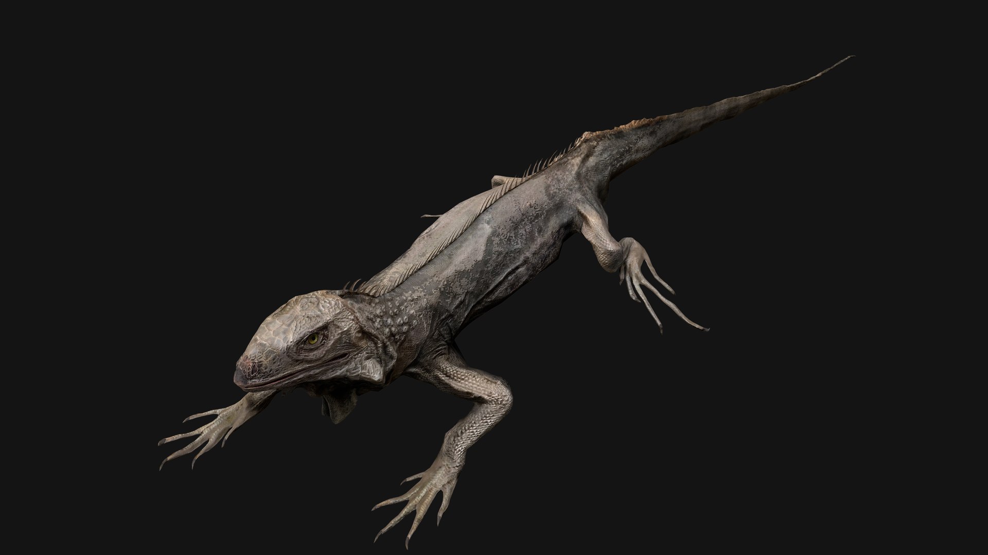 3D Model Iguana Reptile Animated - TurboSquid 2077364