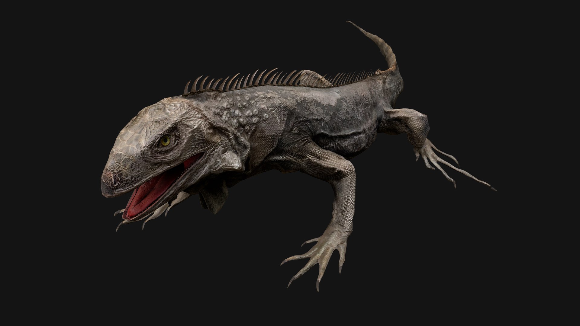 3D model Iguana Reptile Animated - TurboSquid 2077364
