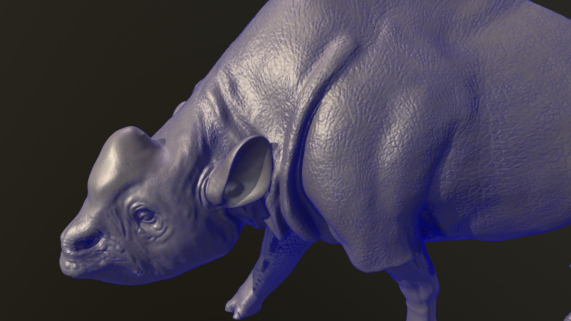 Elasmotherium 3D Model - TurboSquid 1820782