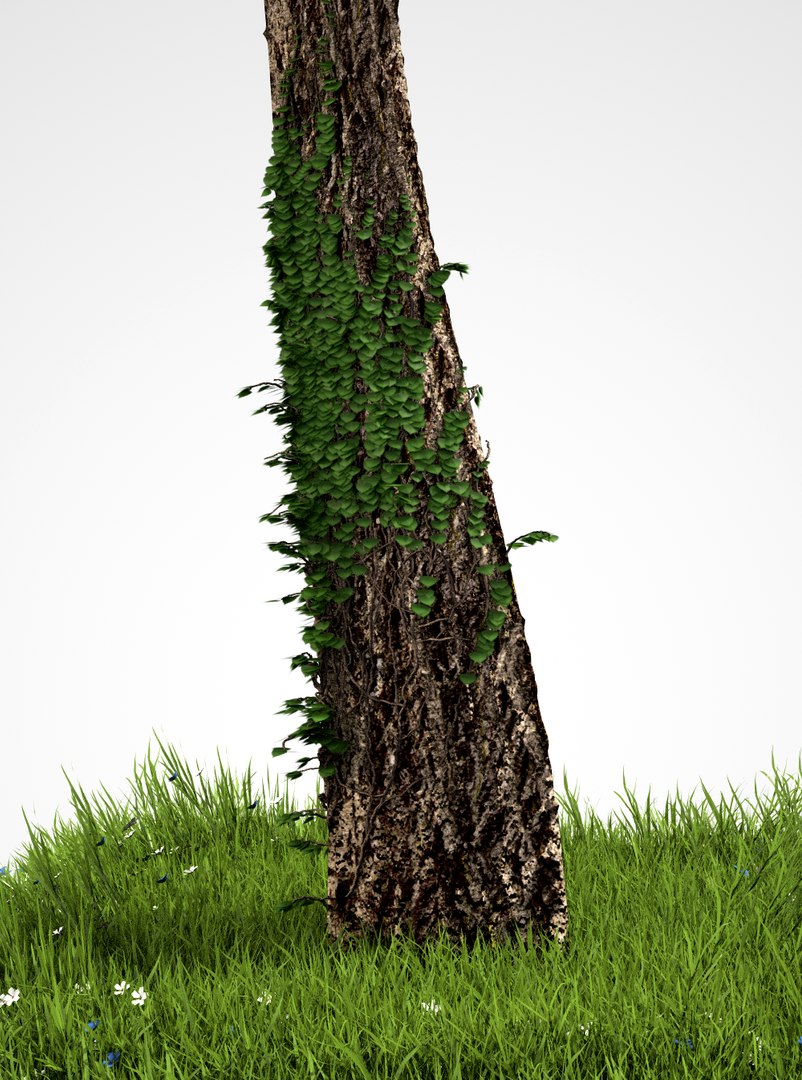 3d Model Pine Trees