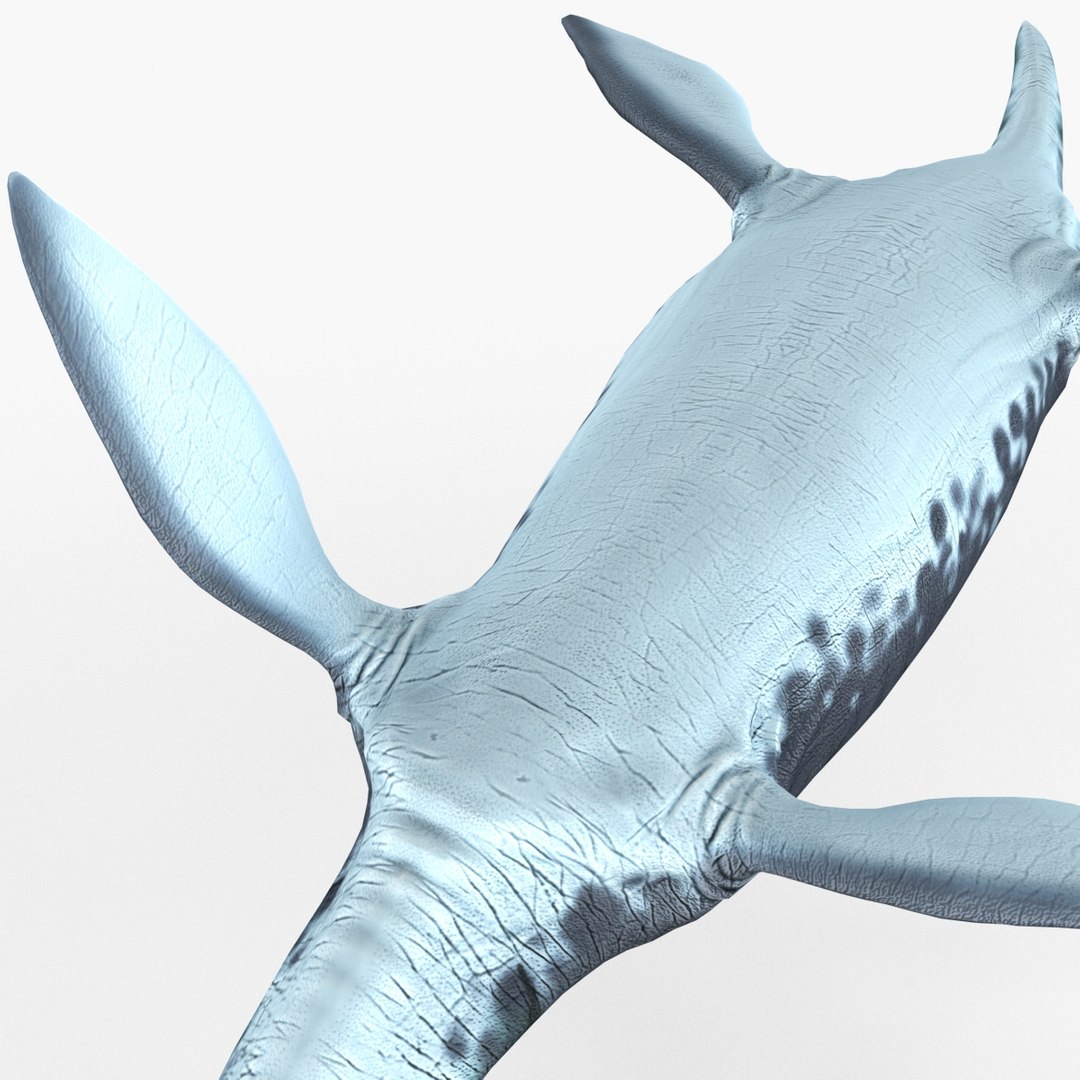 3d Model Plesiosaur Pose 2