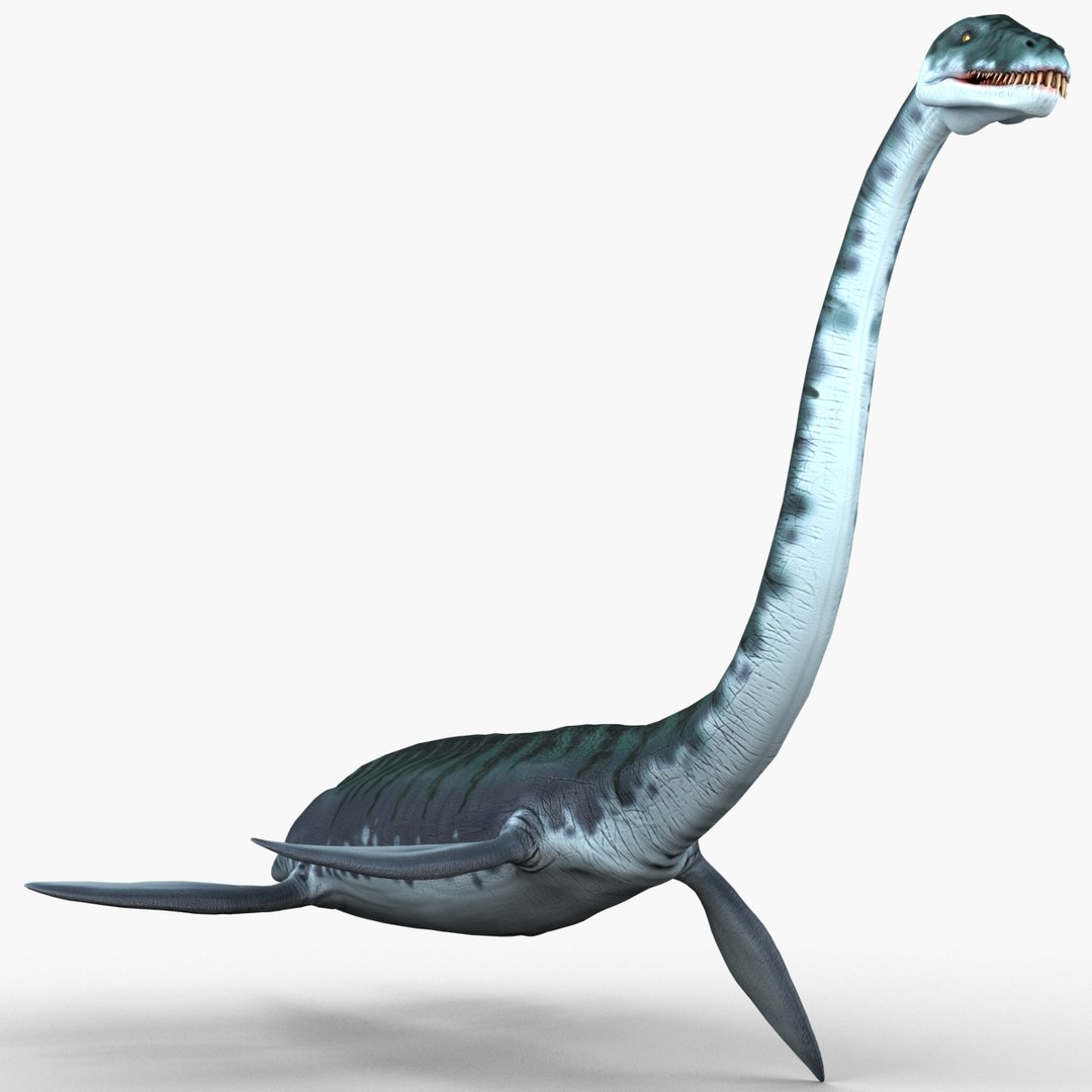 3d Model Plesiosaur Pose 2