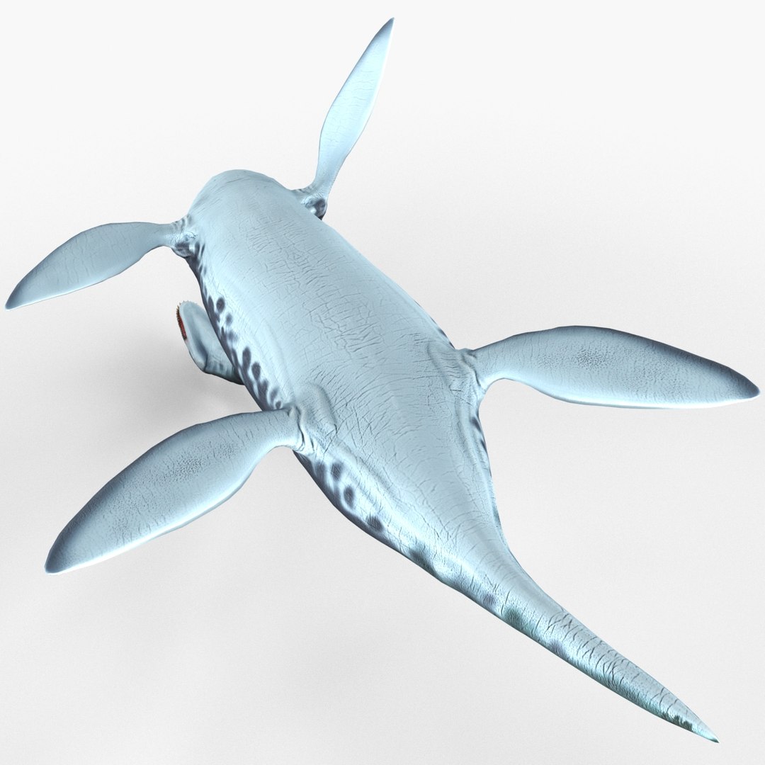 3d Model Plesiosaur Pose 2