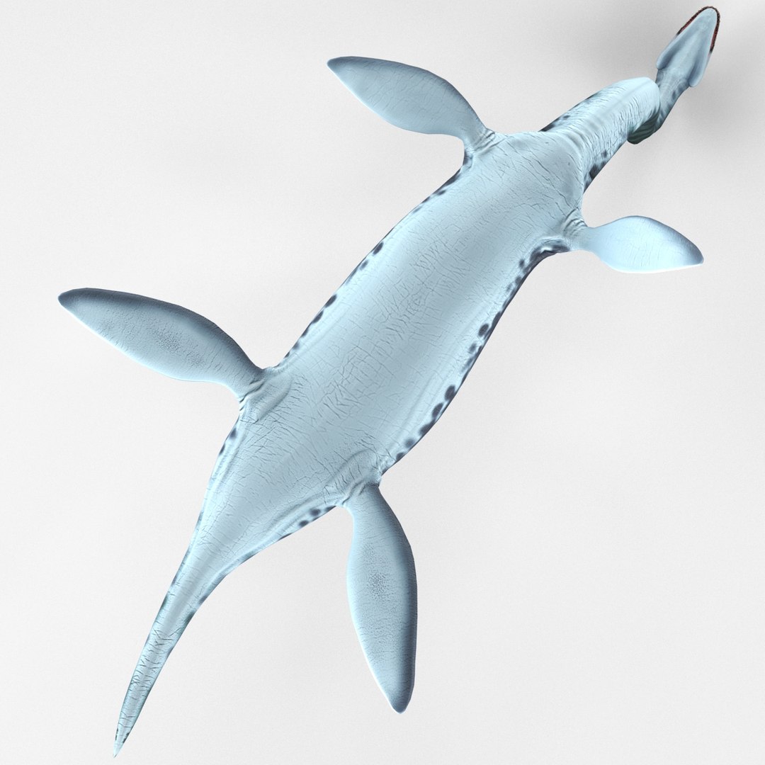 3d Model Plesiosaur Pose 2