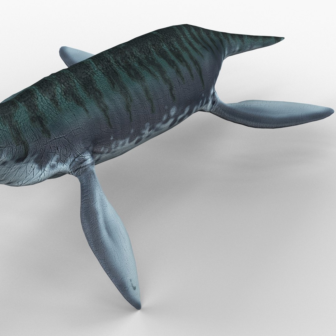 3d Model Plesiosaur Pose 2