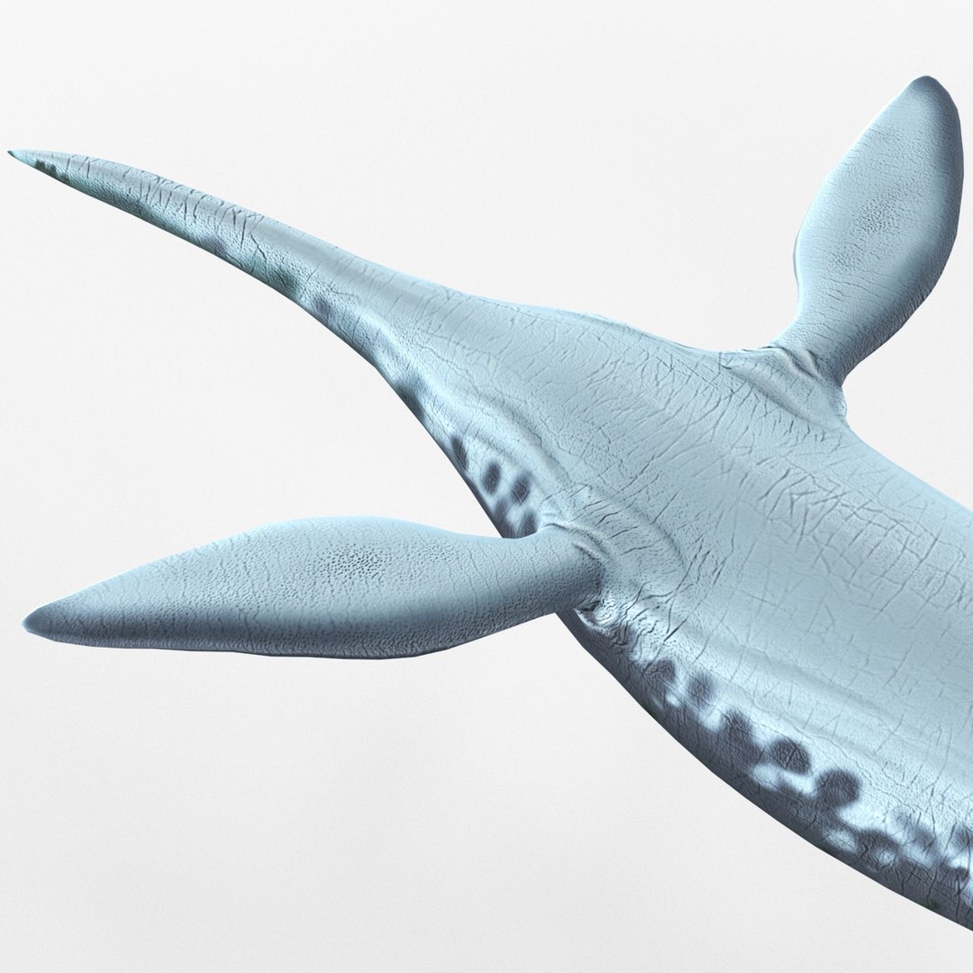 3d Model Plesiosaur Pose 2