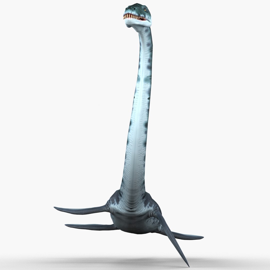 3d Model Plesiosaur Pose 2