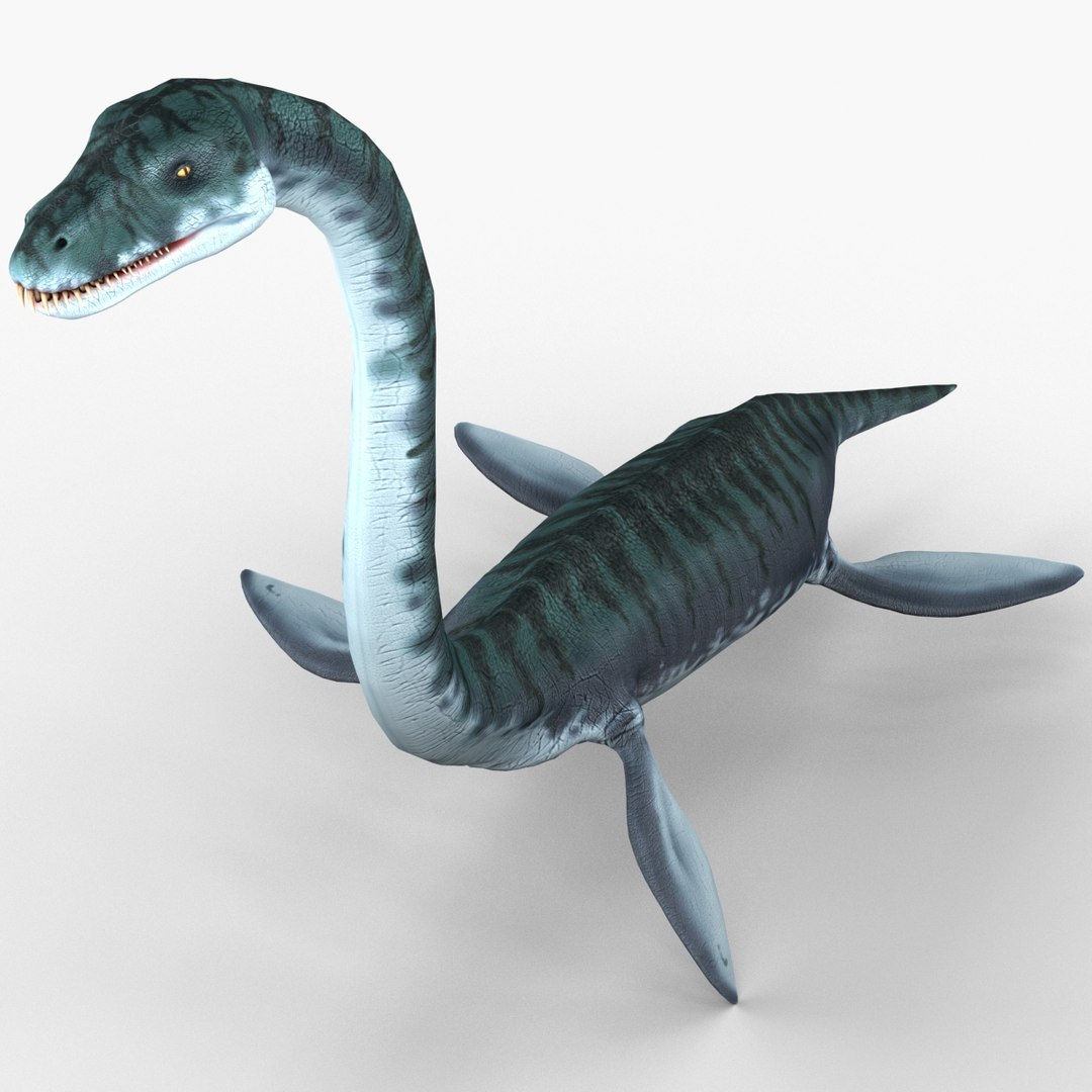 3d Model Plesiosaur Pose 2
