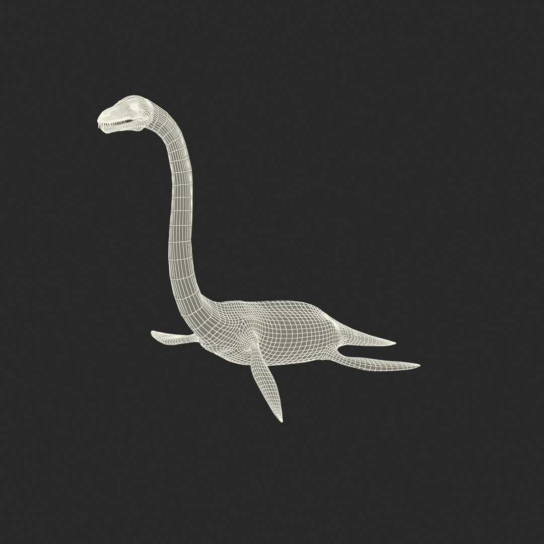 3d Model Plesiosaur Pose 2