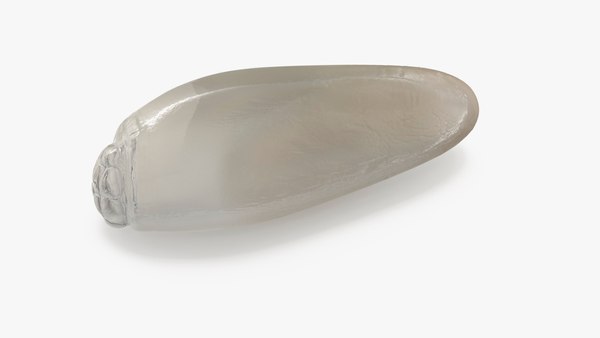 modelo 3d Huevo de piojo de cabeza humana - TurboSquid 2164124