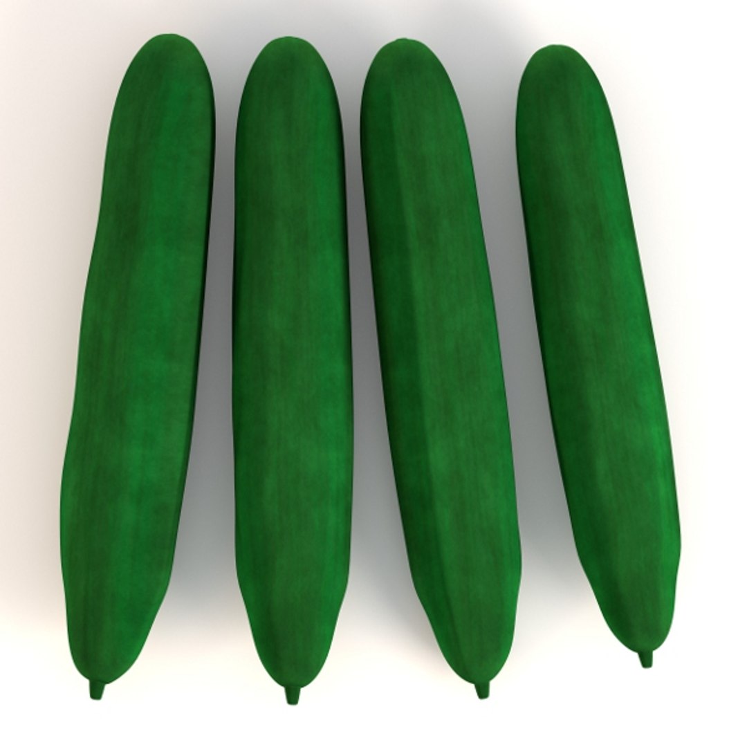 Cucumber 3d Model