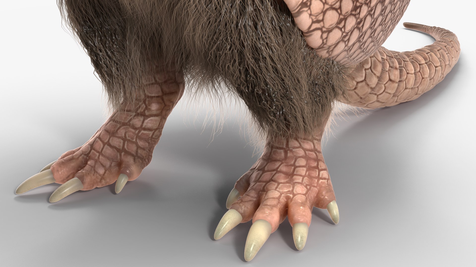 3D Armadillo In Hind Legs Pose Pink Fur Model - TurboSquid 2248058
