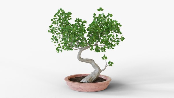 3D Bonsai tree - TurboSquid 1782892