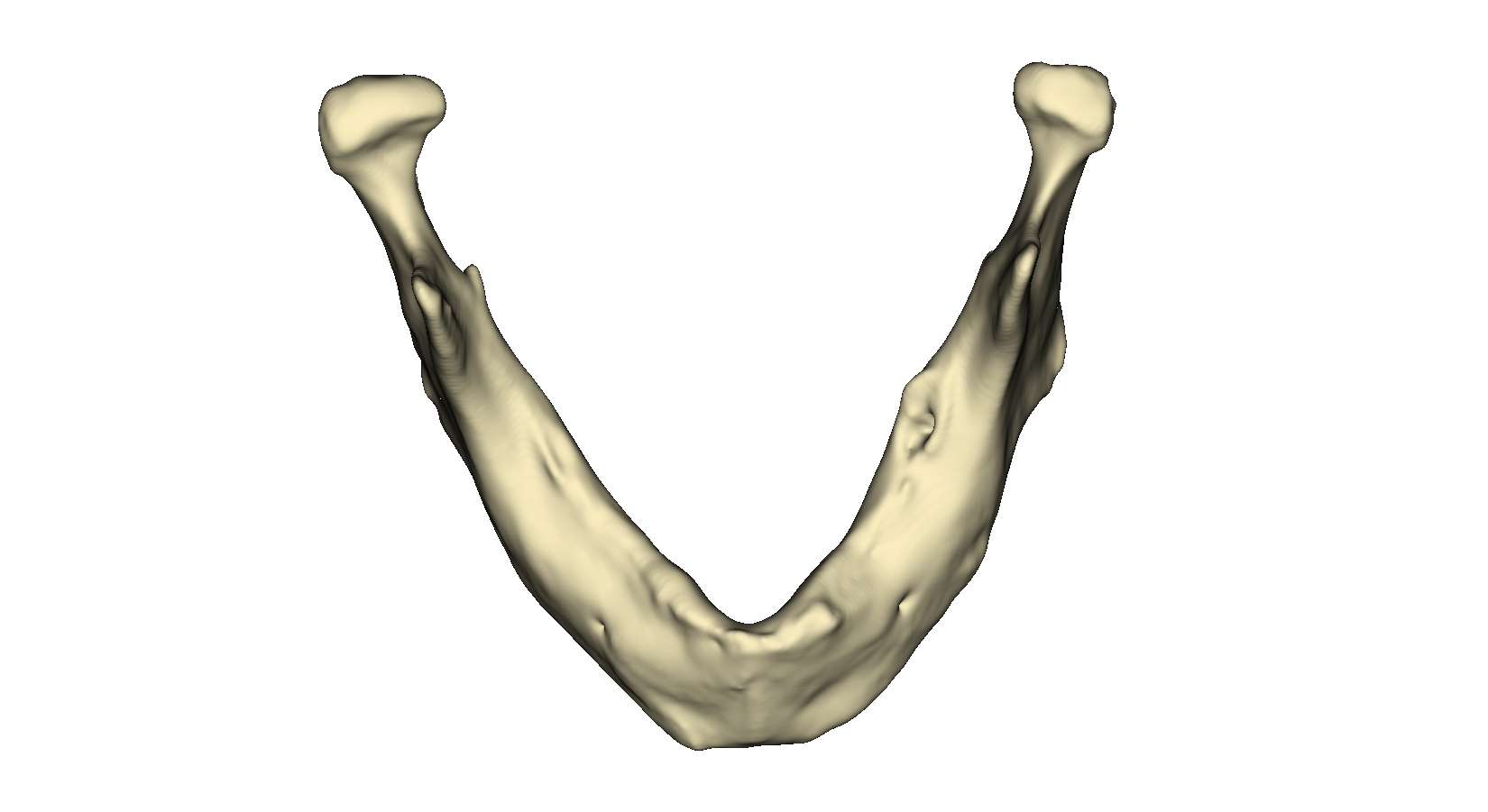 modèle 3D de Mandibule humaine édentée - TurboSquid 929682