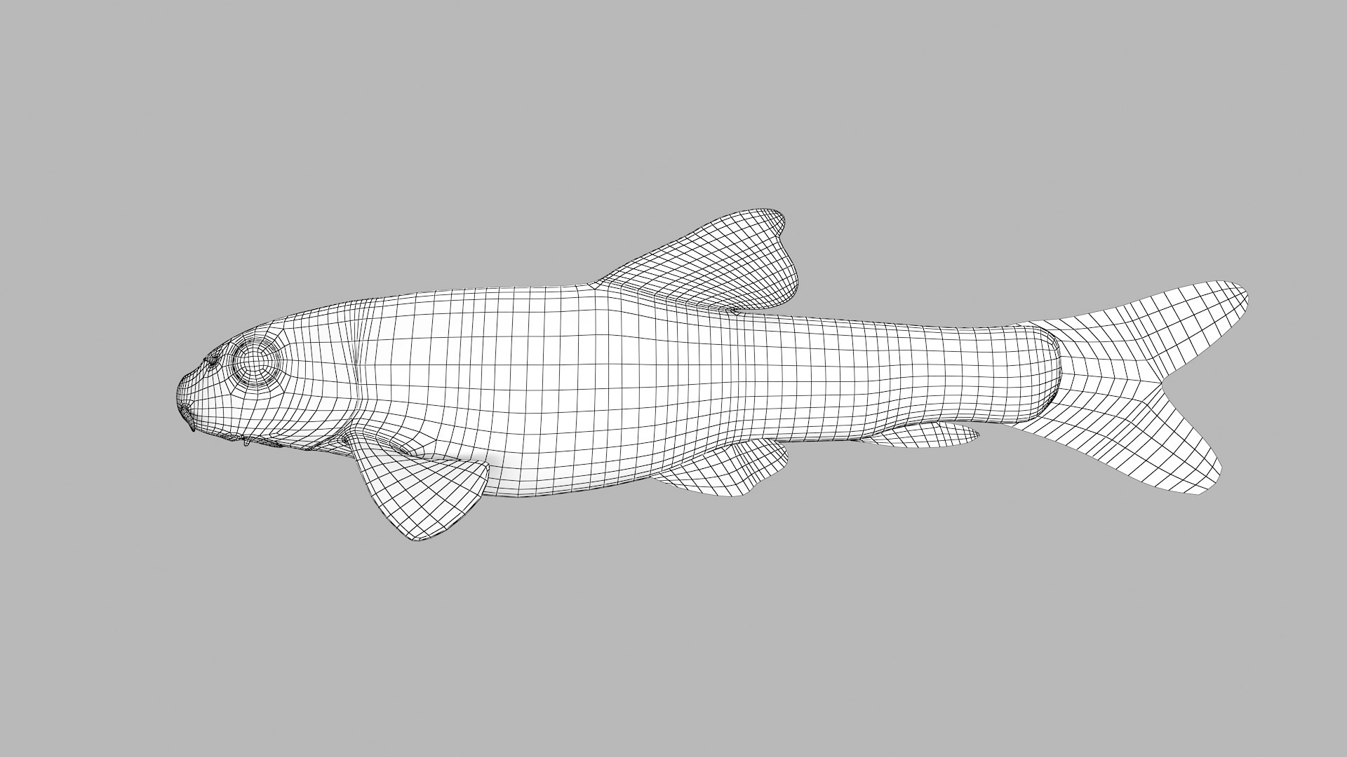 Red garra doctorfish 3D model - TurboSquid 1508514