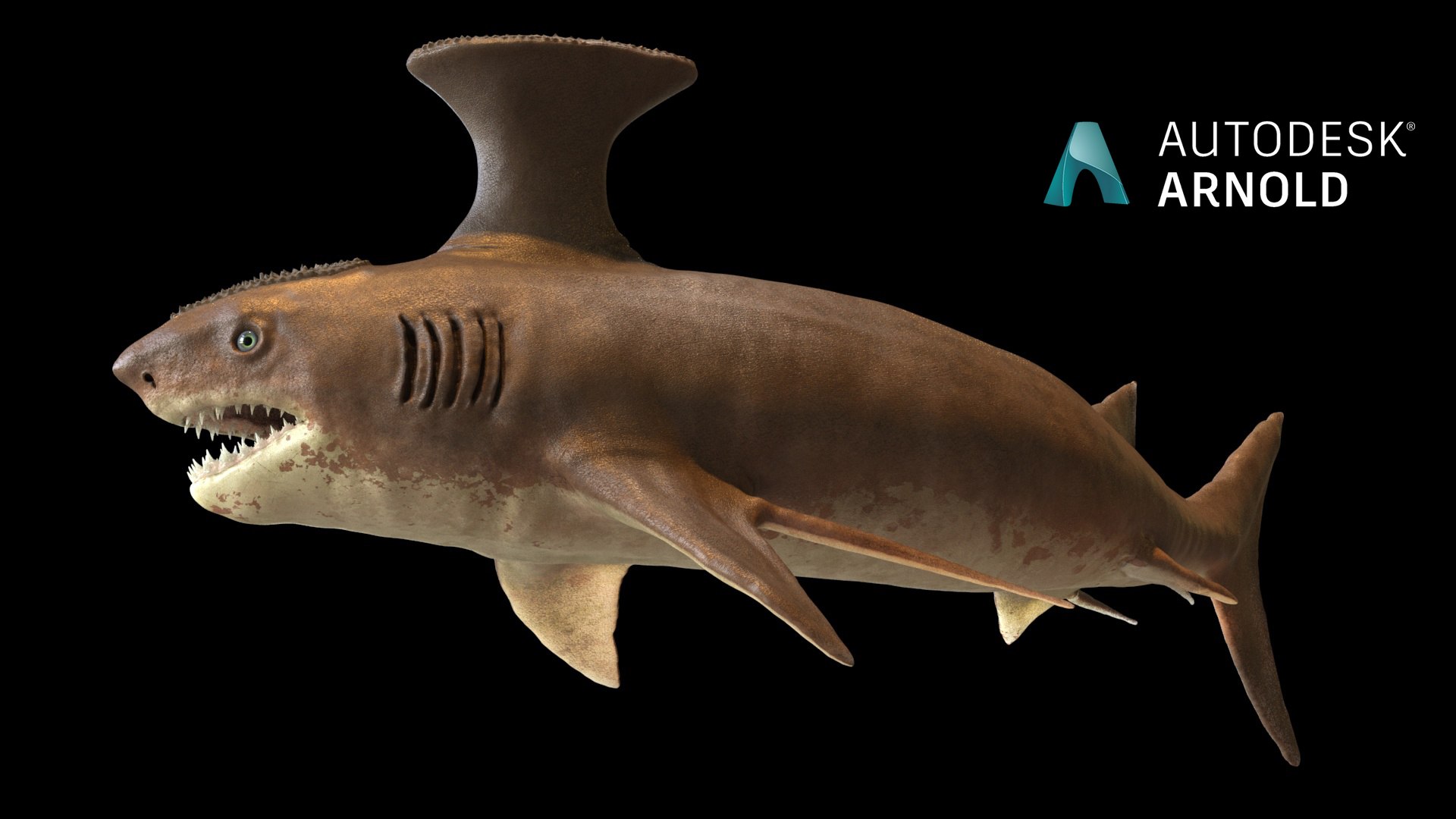 3D Model Stethacanthus - Prehistoric Shark Rigged - TurboSquid 2441979