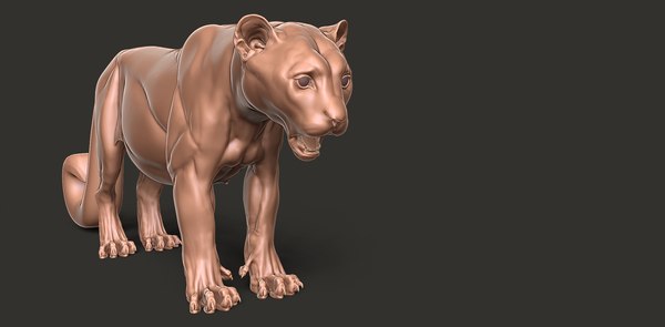 Snow Leopard Cub Primary Forms Zbrush Sculpt 3D - TurboSquid 1820142
