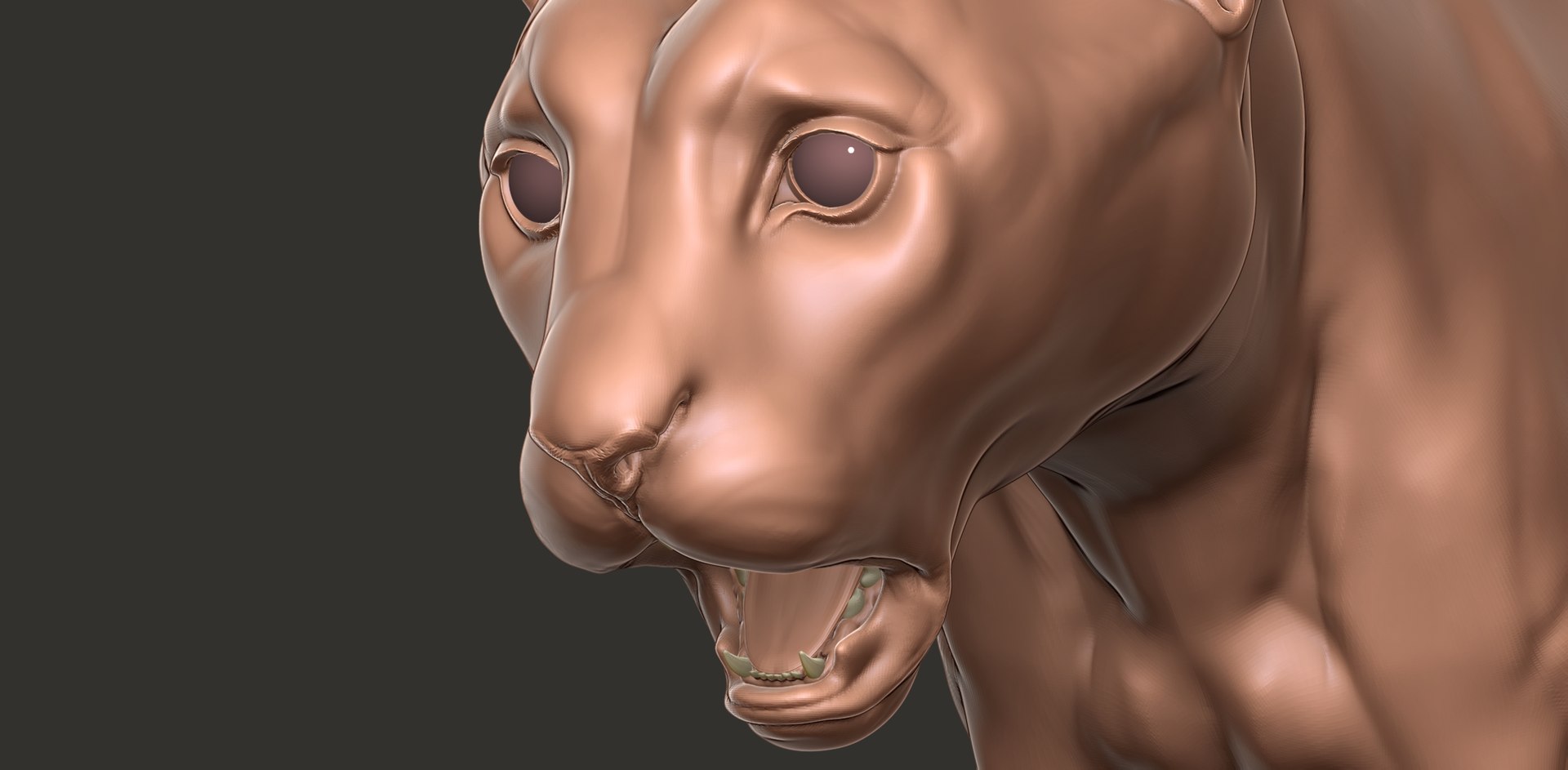 Snow Leopard Cub Primary Forms Zbrush Sculpt 3D - TurboSquid 1820142