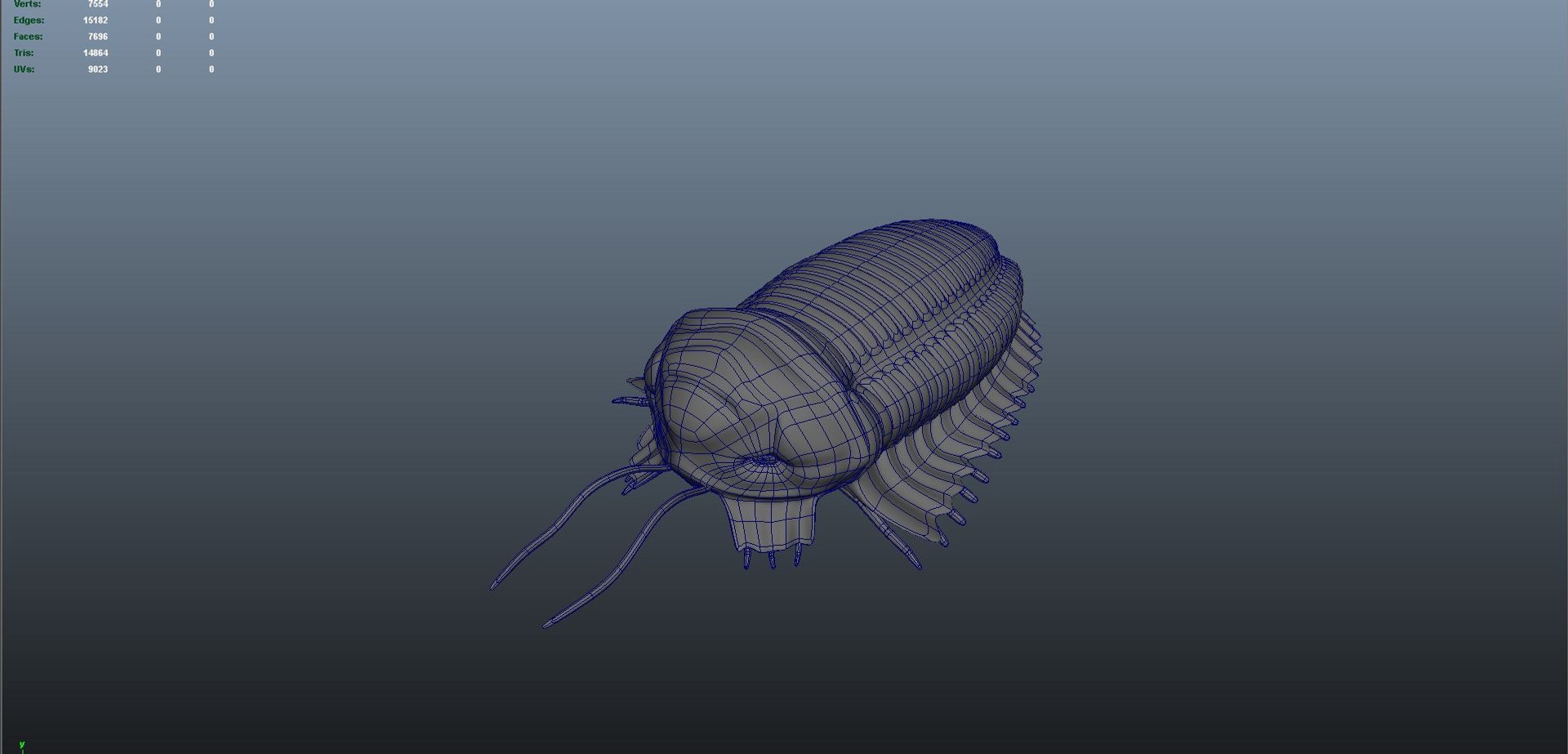 Maya Triarthrus Animal Taxon