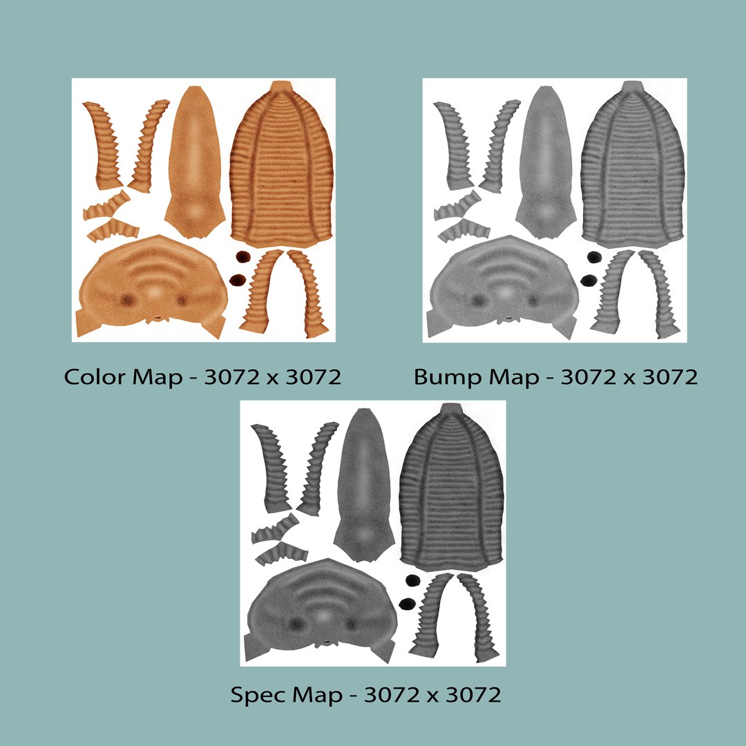 Maya Triarthrus Animal Taxon