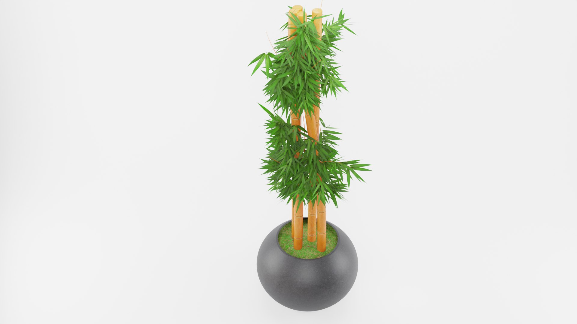 Yellow Bamboo Tree 3D Model - TurboSquid 1997780