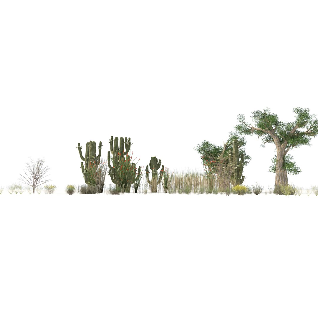 Low poly Desert Vegetation 3D - TurboSquid 2101546