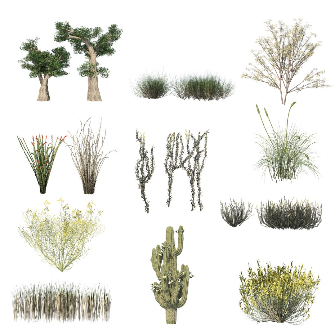 Low poly Desert Vegetation 3D - TurboSquid 2101546