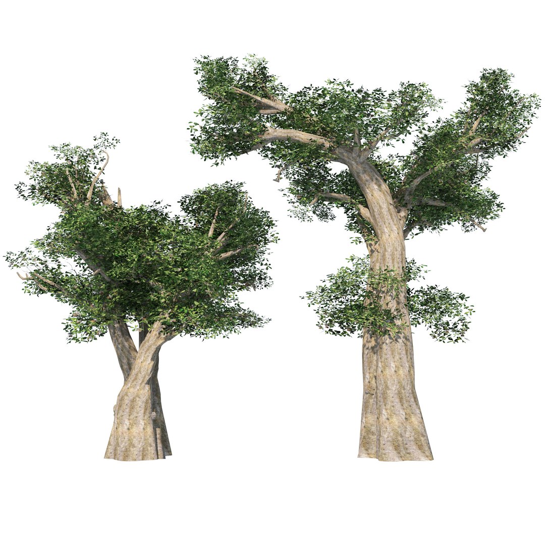 Low poly Desert Vegetation 3D - TurboSquid 2101546