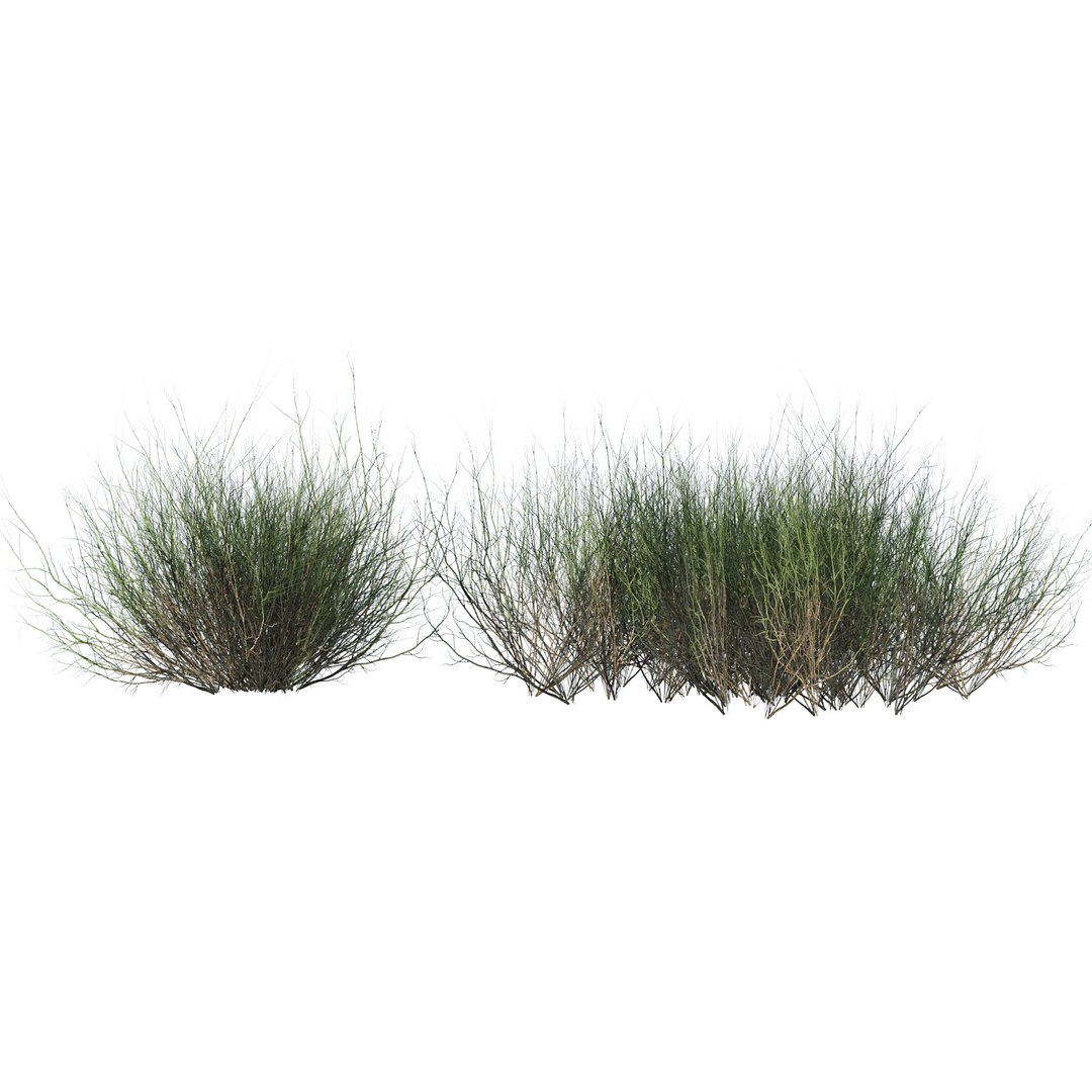 Low poly Desert Vegetation 3D - TurboSquid 2101546