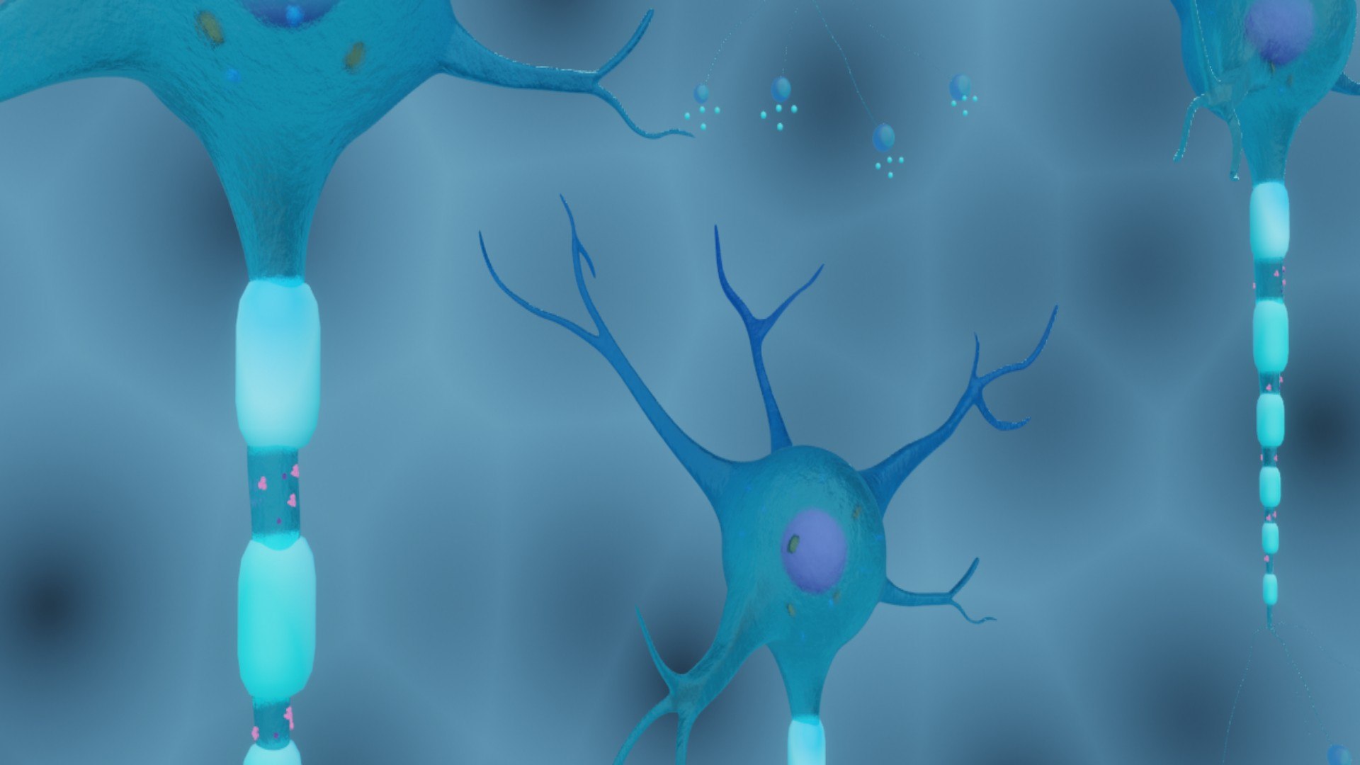 3D Neuron 3D Model Model - TurboSquid 1725788