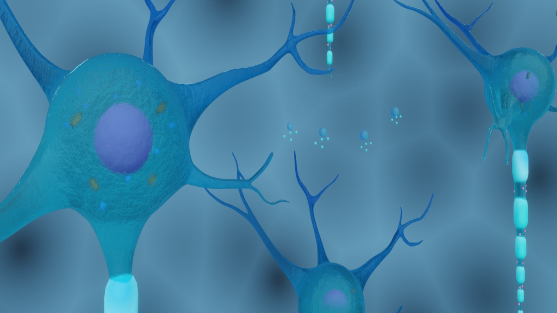 3D Neuron 3D Model Model - TurboSquid 1725788