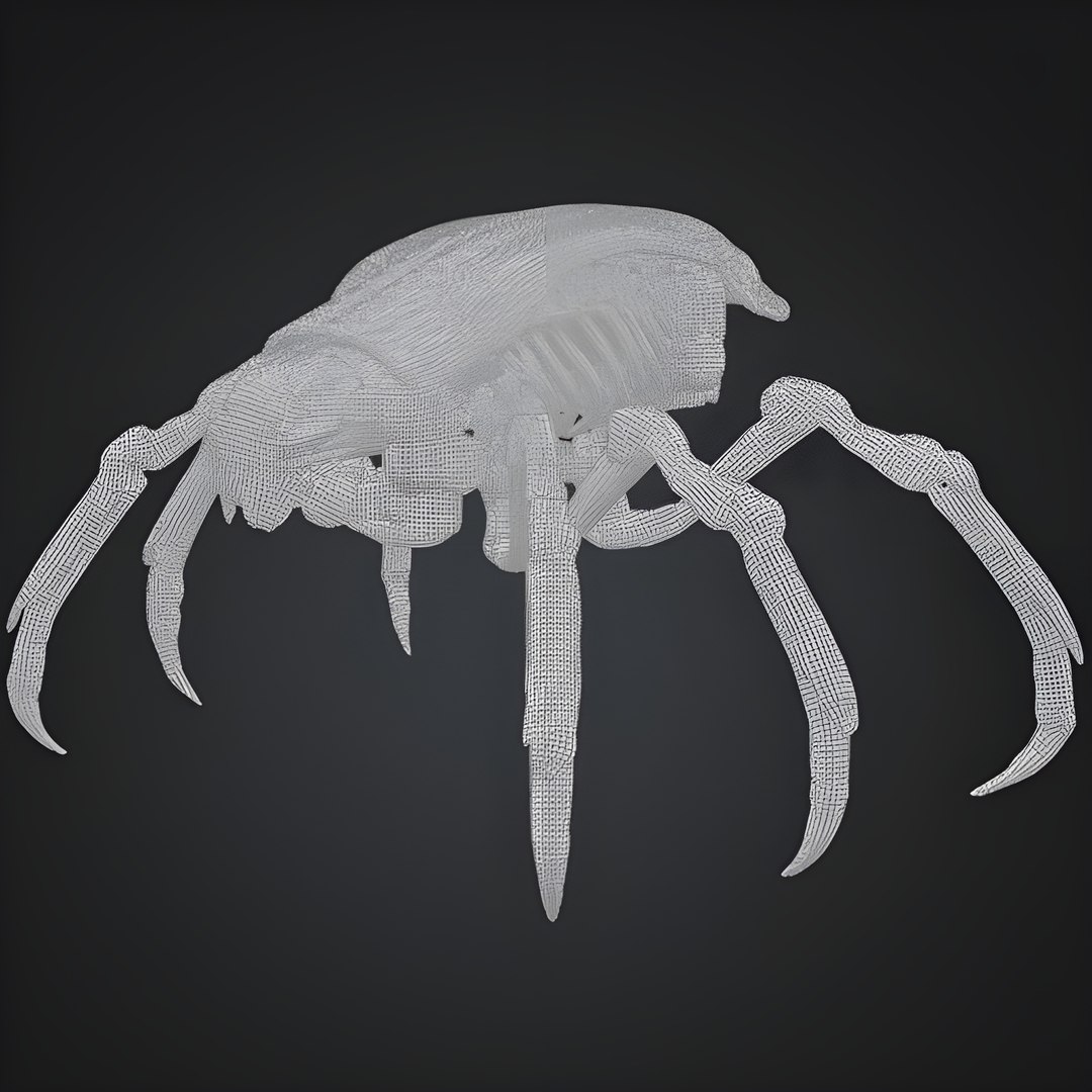 Skull Spider Automaton 3D Model - TurboSquid 2298866
