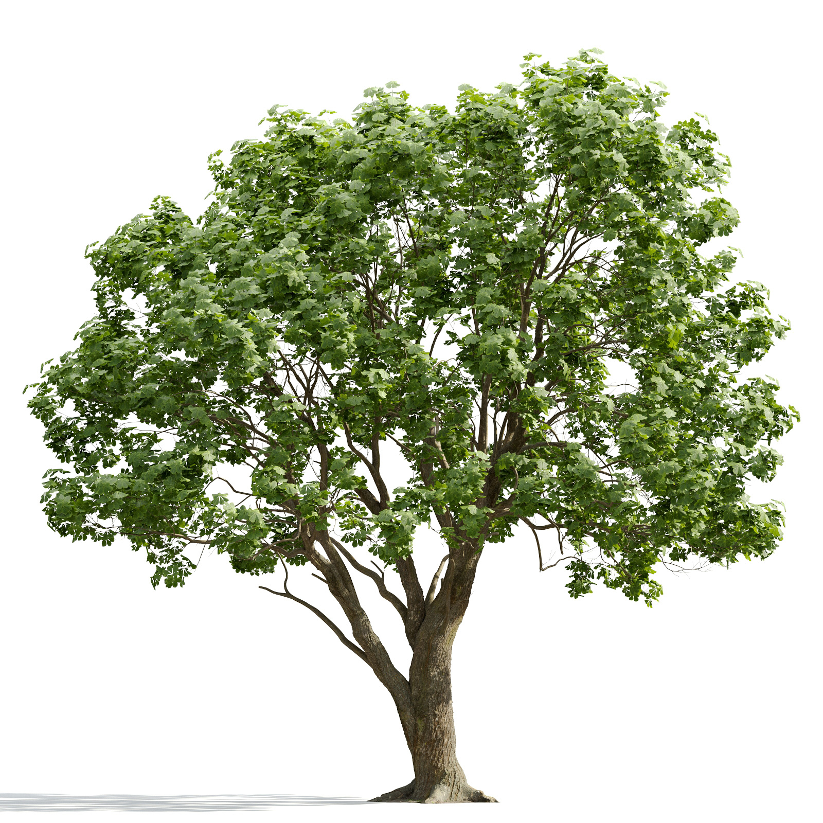 Archmodels vol 255 model - TurboSquid 1794466