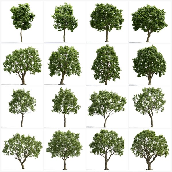 Archmodels vol 255 3D 모델 - TurboSquid 1794466